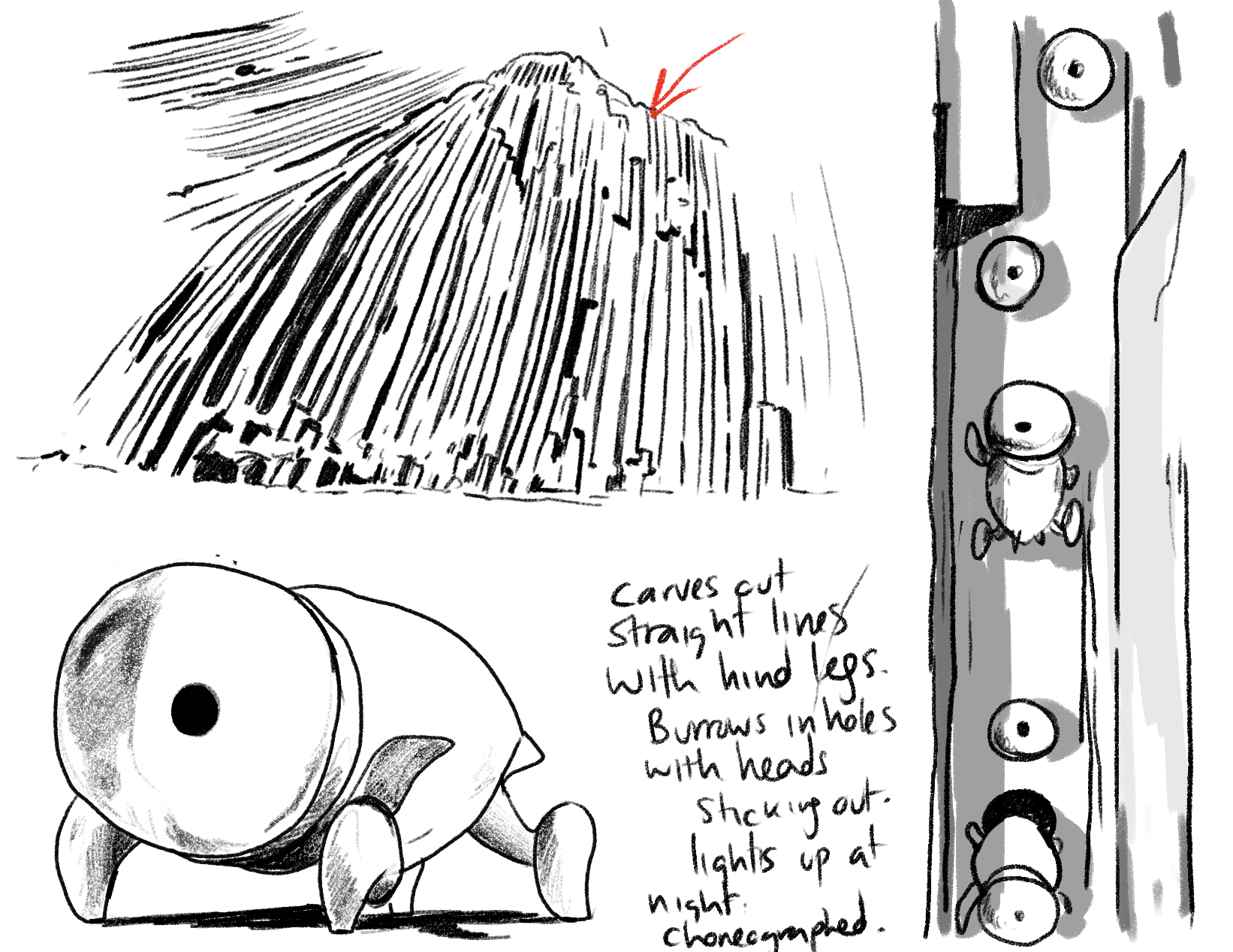 ג'ו בנט גדל ביער ויצר בהשראתו סדרת אנימציה מוטרפת | מגזין Uncoated
